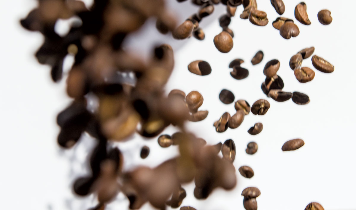 The First Blend - Fresh Cup