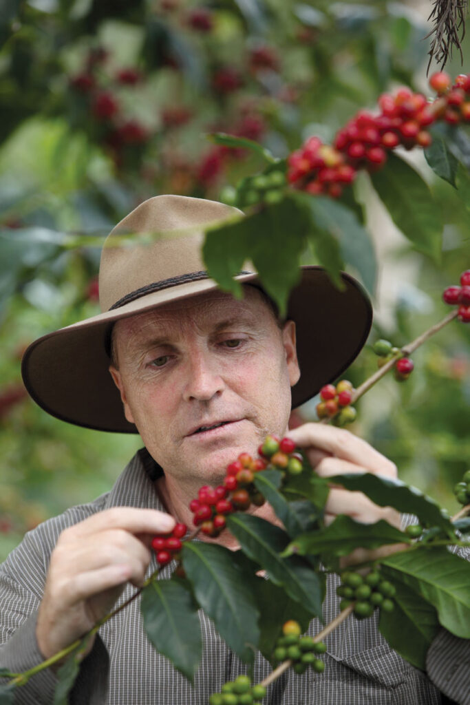 Ceylon Coffee - Fresh Cup