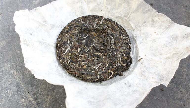 Pu-erh Paper - Fresh Cup