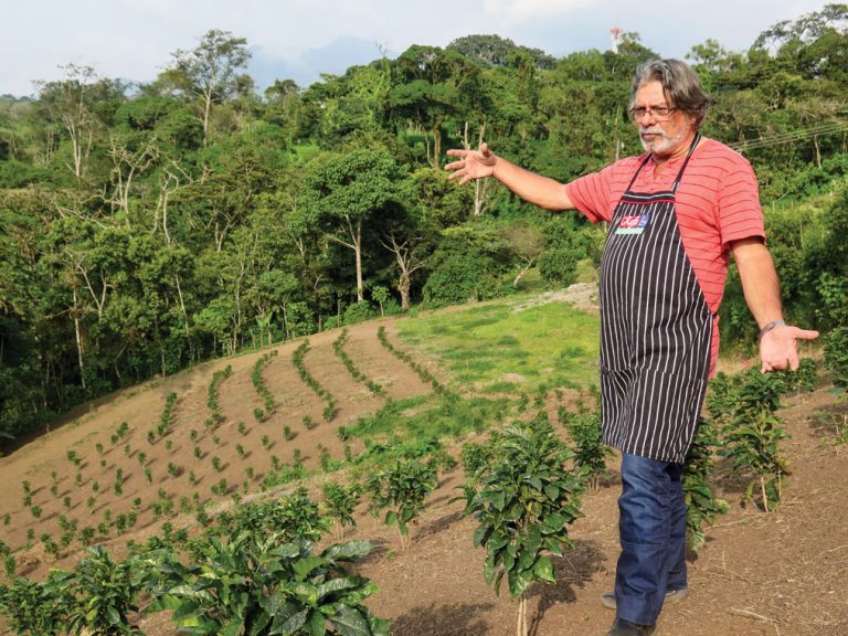 Costa Rica's Café Culture Evolution - Fresh Cup