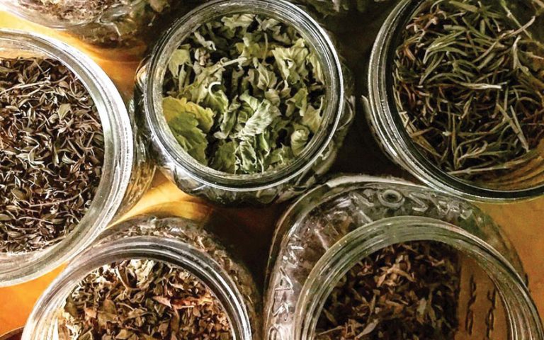 Farm-to-Table: On Locally-Grown Tea - Fresh Cup