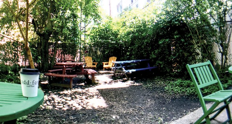 Café Crossroads: Odd Fox Coffee - Fresh Cup