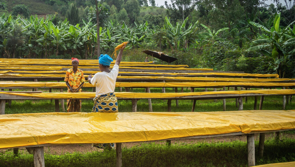 Nespresso Introduces KAHAWA ya CONGO - Fresh Cup