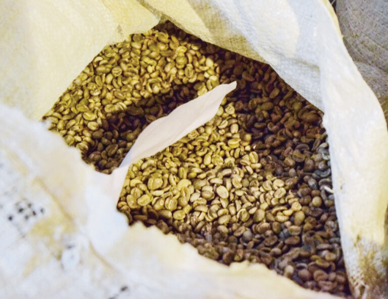 Haiti: A Story of Revolution and Inspiration at Origin - Fresh Cup