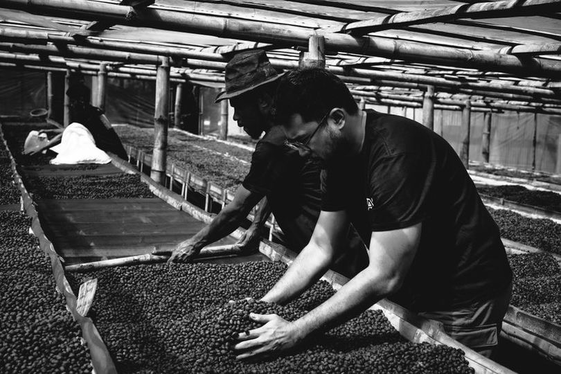 Contemporary Indonesian Specialty Coffee: A Chat with Three Coffee ...