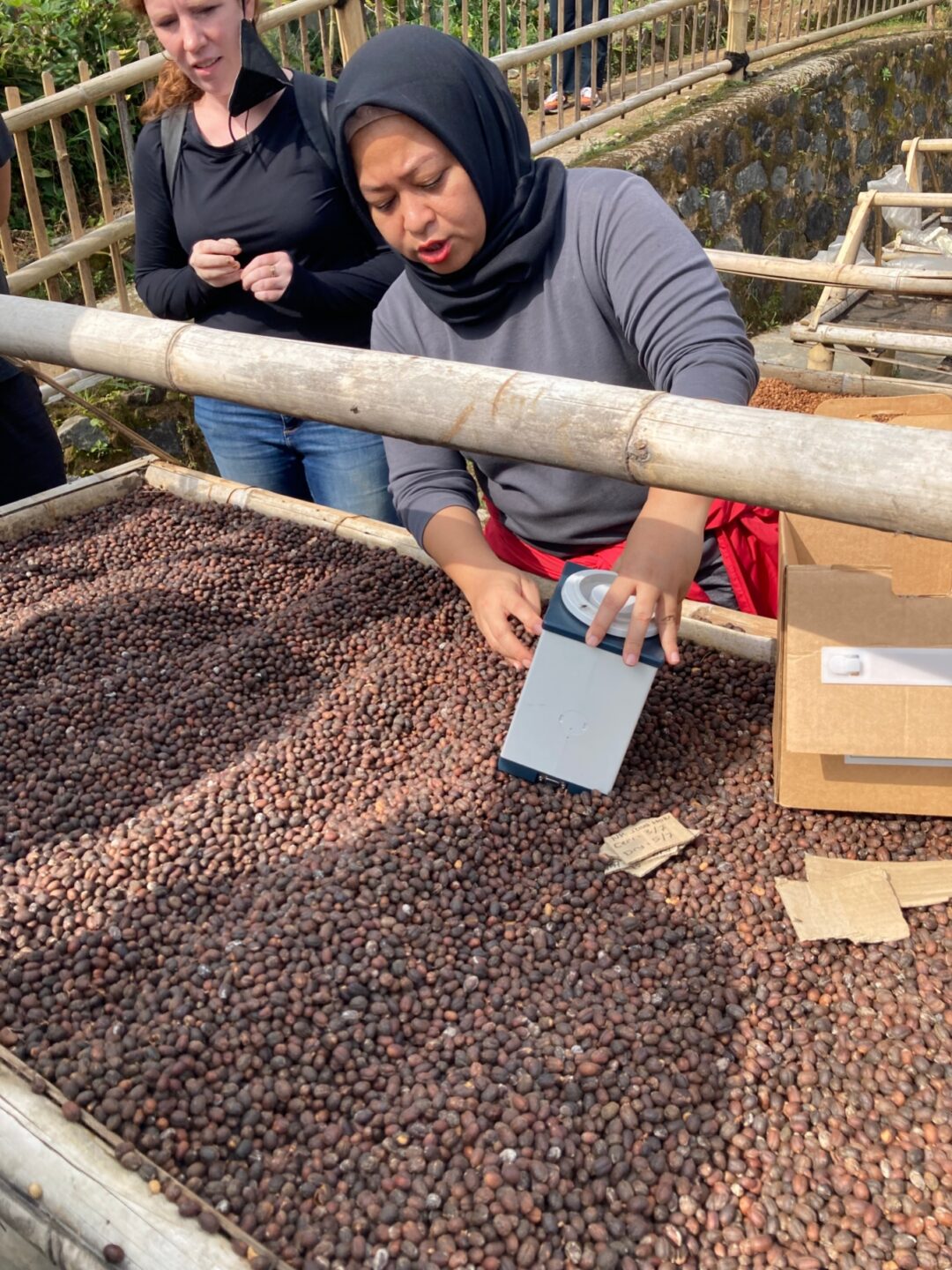 Contemporary Indonesian Specialty Coffee: A Chat with Three Coffee ...