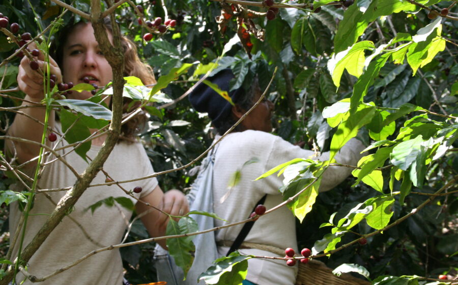 30 Years of JBC Coffee: How the Madison Roaster Has Seen the Industry ...