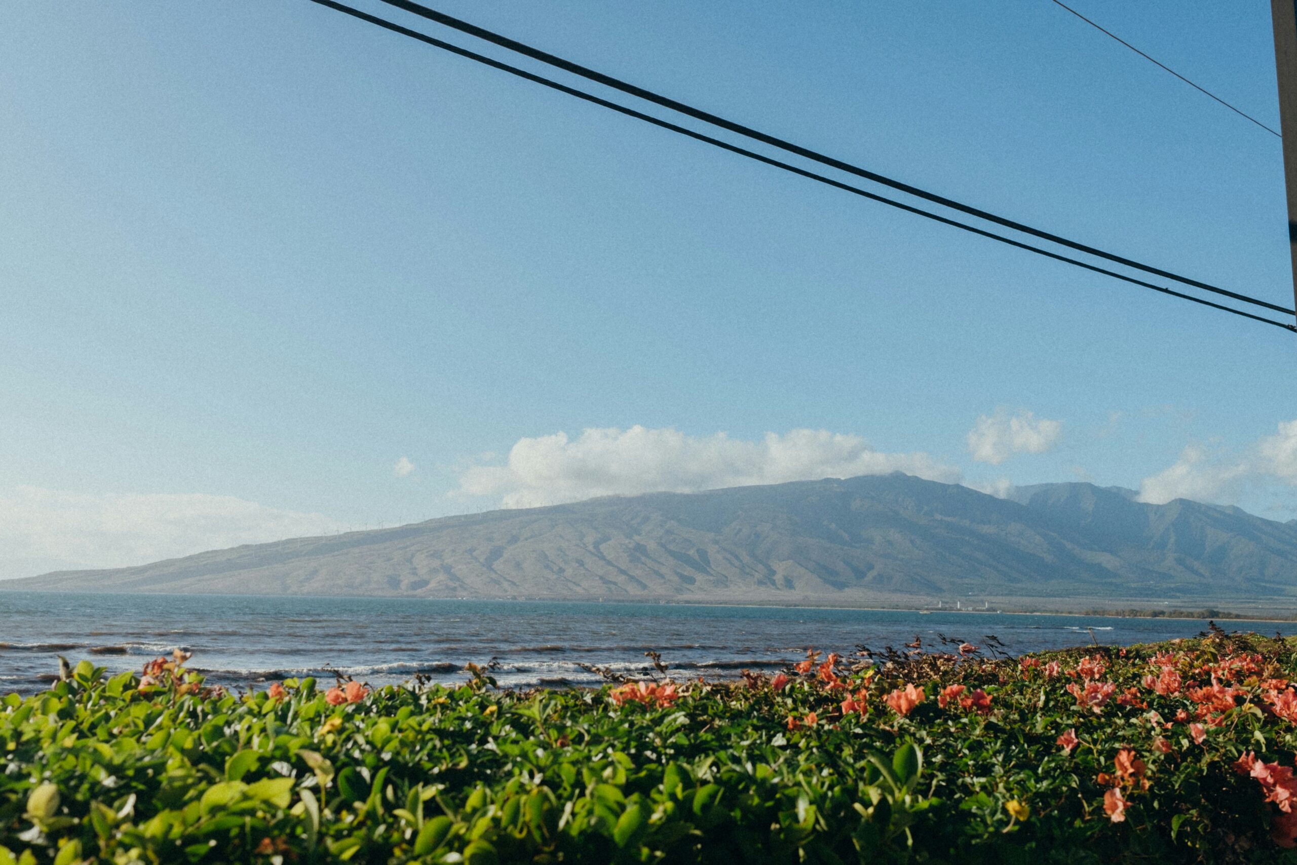Lease Dispute Puts Hawaii’s Largest Coffee Farm—and 141 Jobs—at Risk